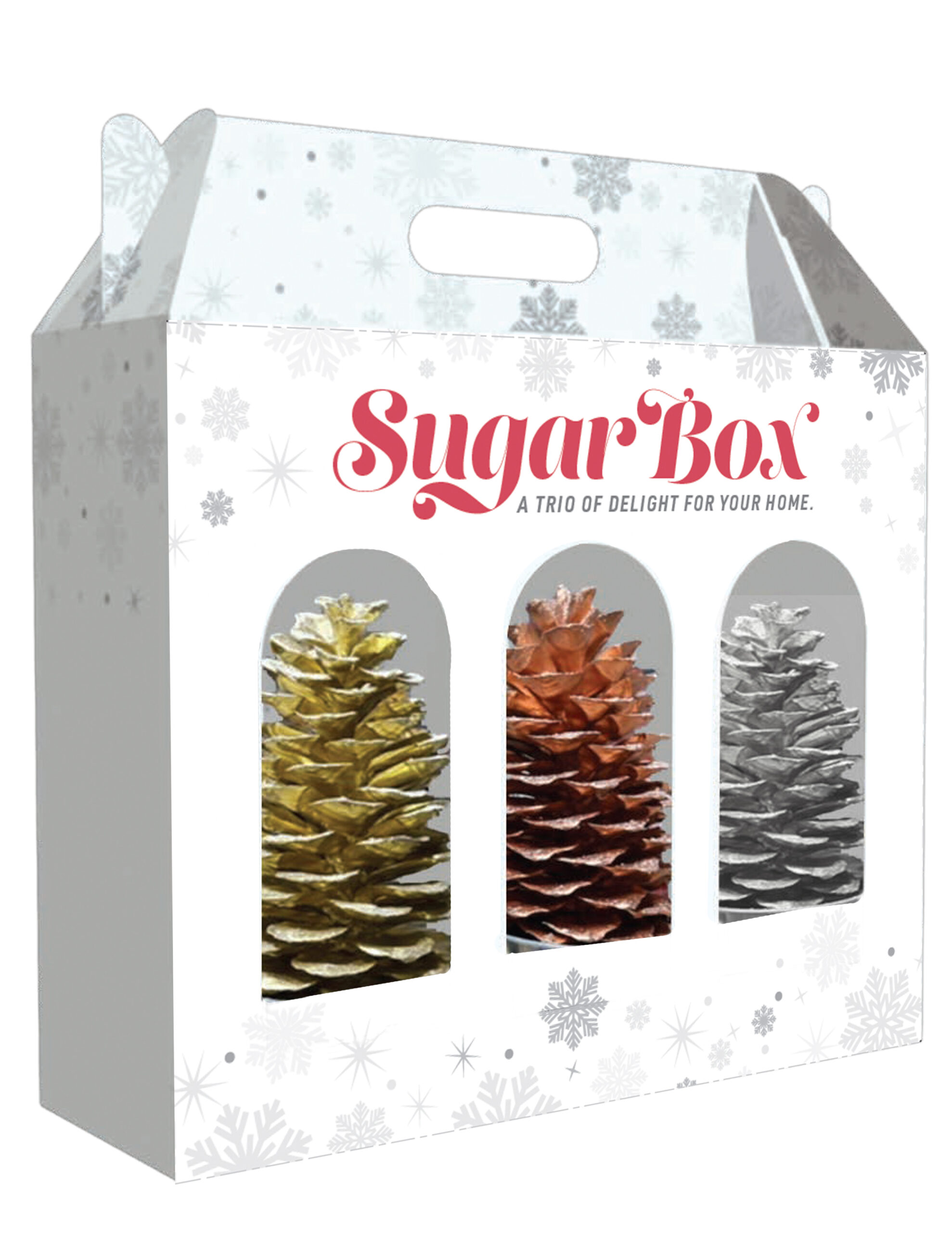 Sugar Box by Continental Floral Greens | Floriexpo